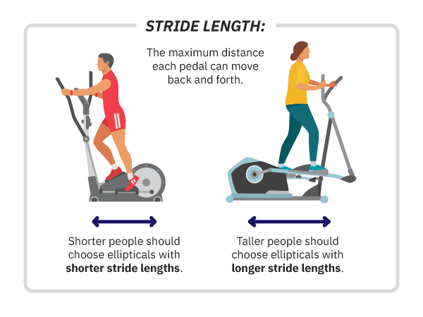 Best Compact Elliptical Blog: Elliptical Machine Muscle Groups Best Compact Elliptical Blog: Elliptical Machine Muscle Groups